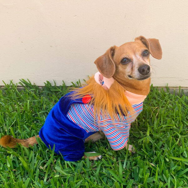 Disfraz halloween de Chucky para perros y gatos - Cochikis Pet Shop