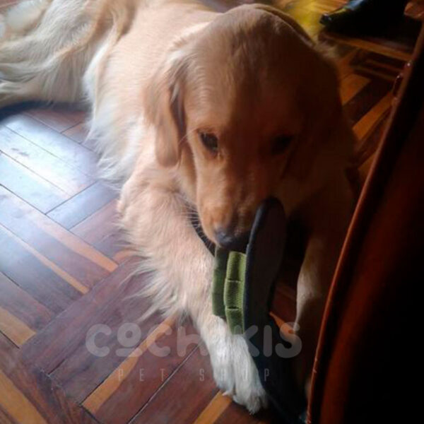 Juguete cognitivo para perro - Chancla peluche - Cochikis Pet Shop