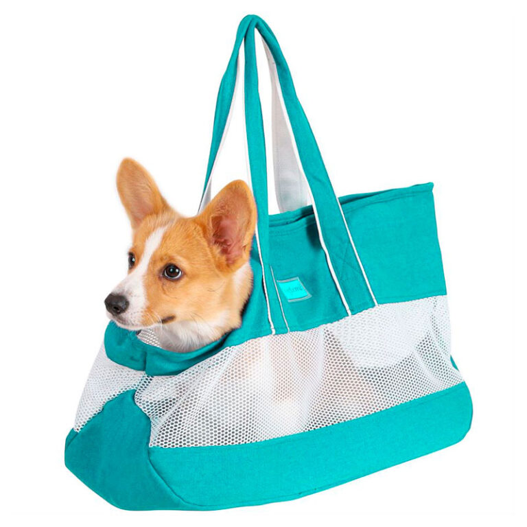 Bolso para transportar mascotas pequeñas - Cochikis Pet Shop