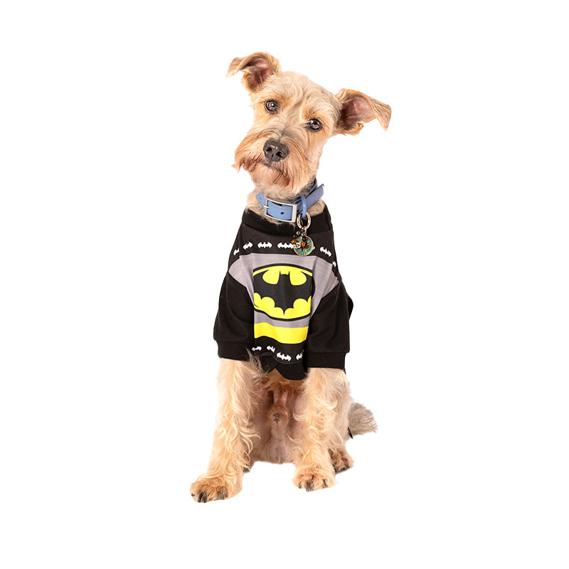 Que Woww Disfraz Batman – Cochikis Pet Shop